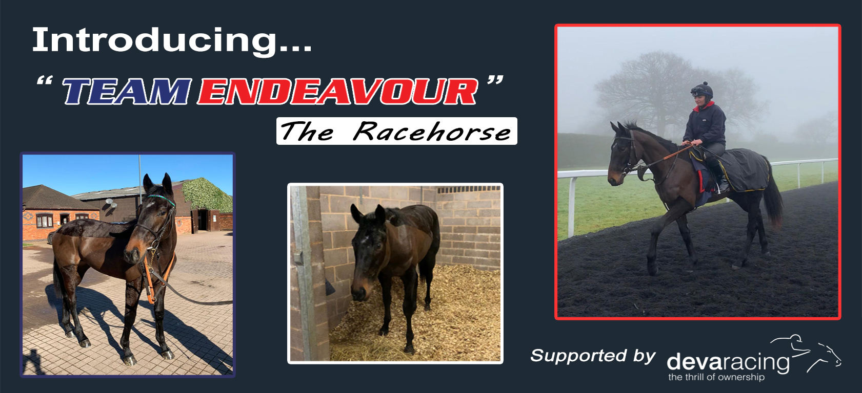 Team Endeavour, the Racehorse! - Team Endeavour